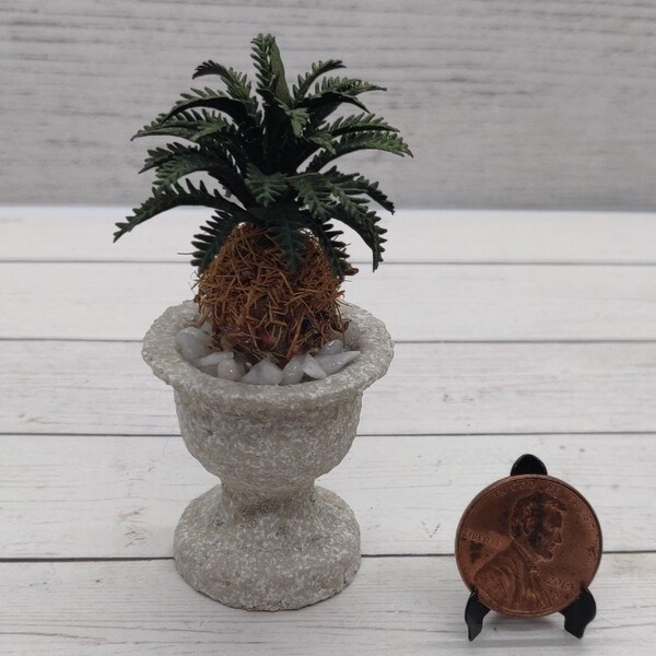 Sago Palm - Etsy