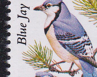 Blue Jay Stamps - Etsy