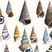 Vintage Watercolor SEASHELL PRINT TURRETS Natural History Print of a ...