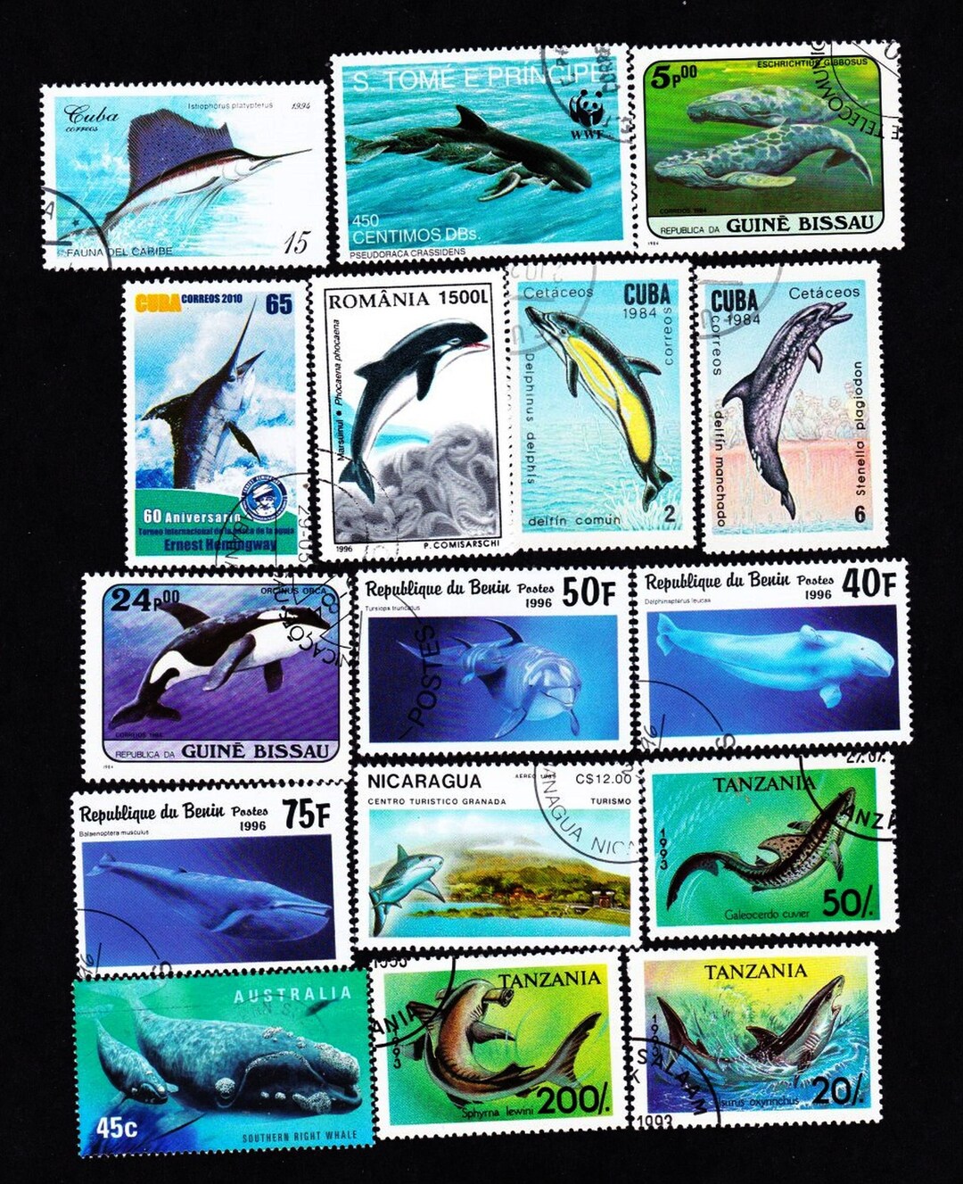 116 WHALES SHARKS PORPOISES Sword Fish Sail Fish Vintage Used World ...