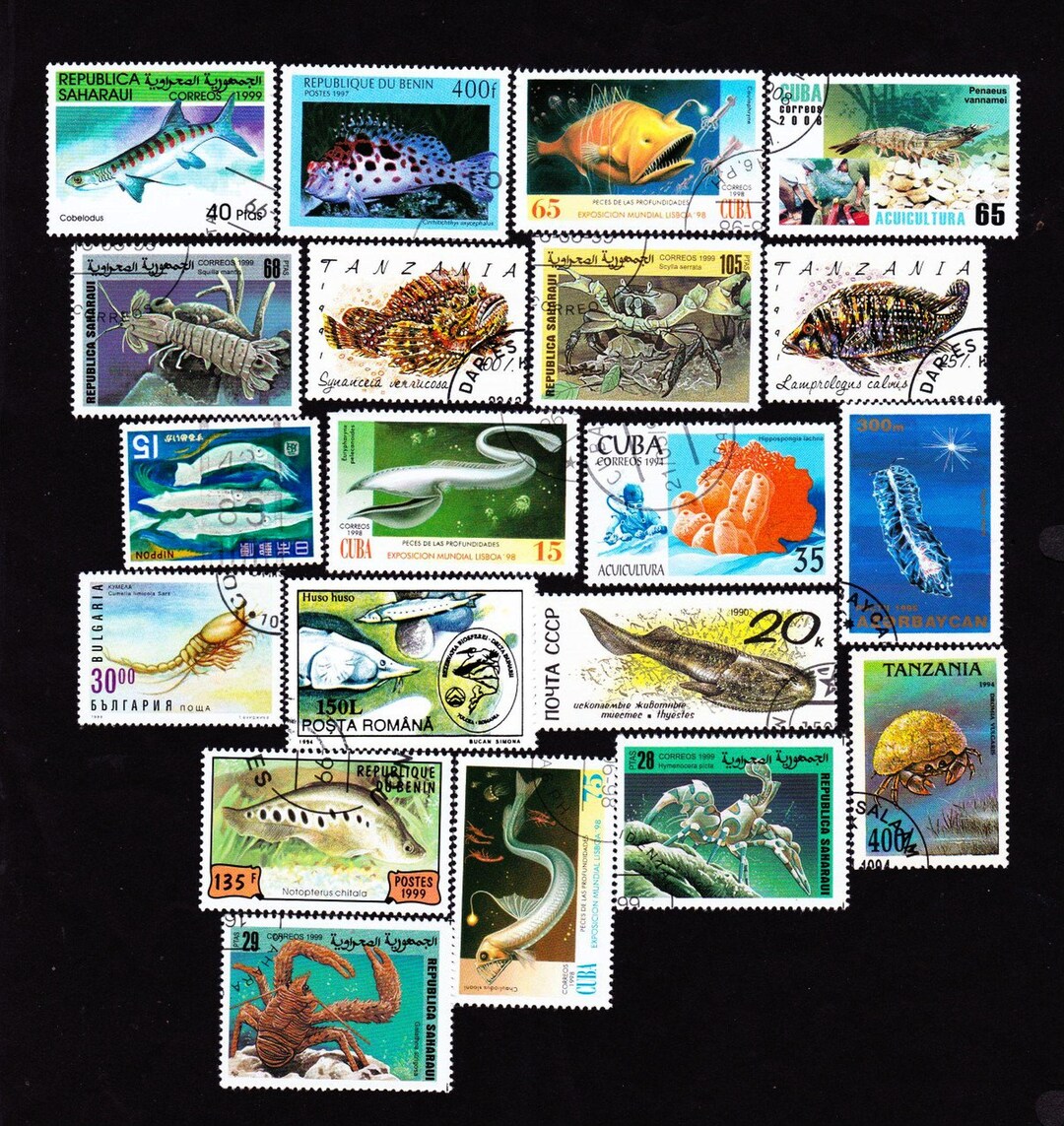 20 STRANGE SEA CREATURES Vintage Cancelled World Postage Stamps ...