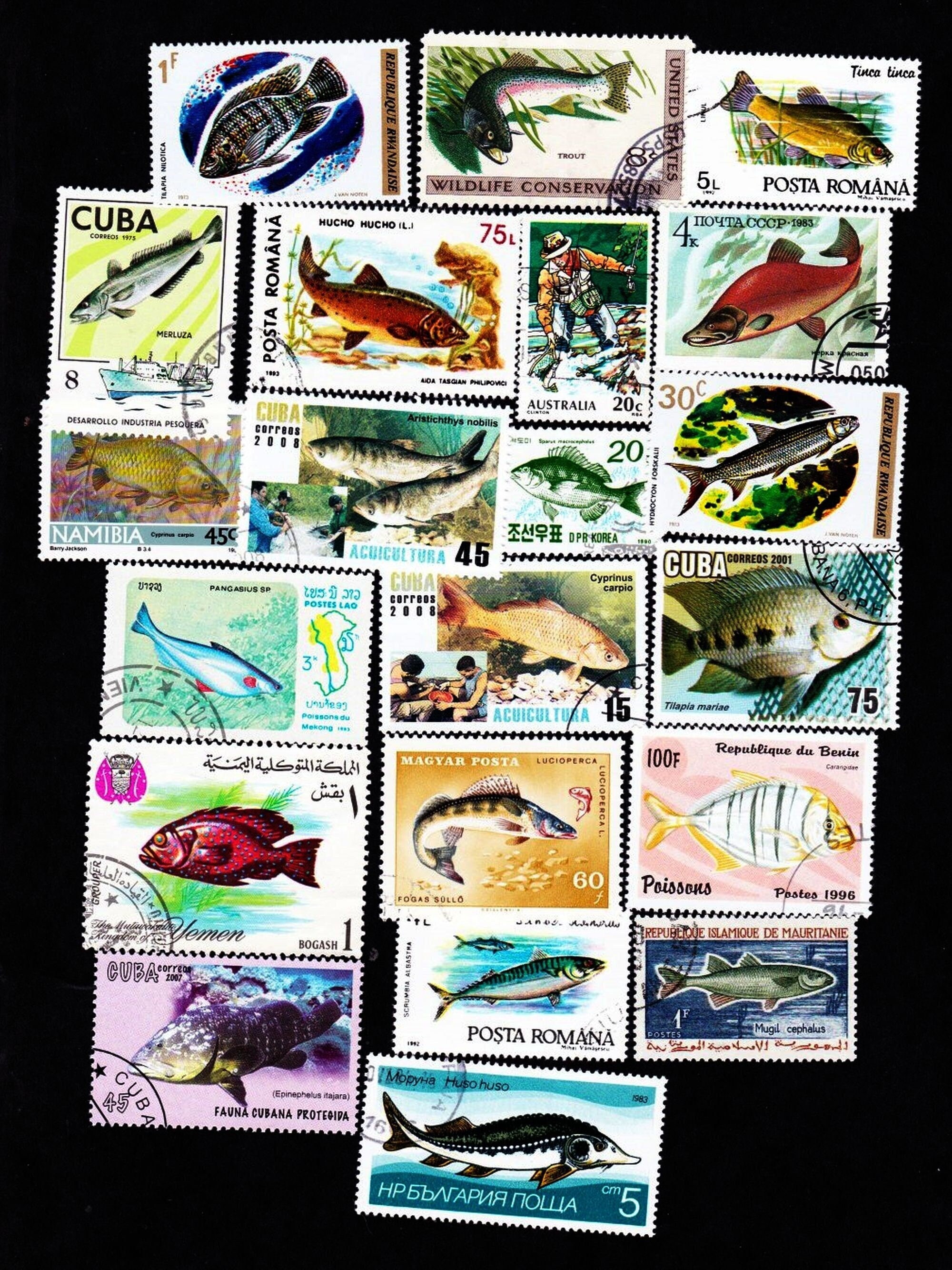 21 FISHERMEN and GAME FISH Trout Salmon Tuna Vintage Cancelled World ...