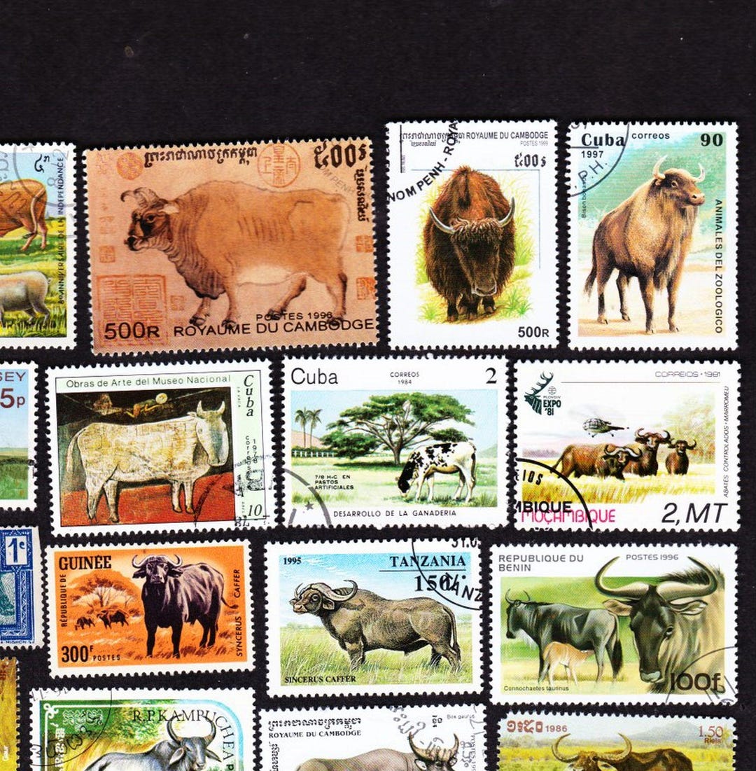 20 COWS BULLS CATTLE Steers Oxen of the World Vintage Used Postage ...