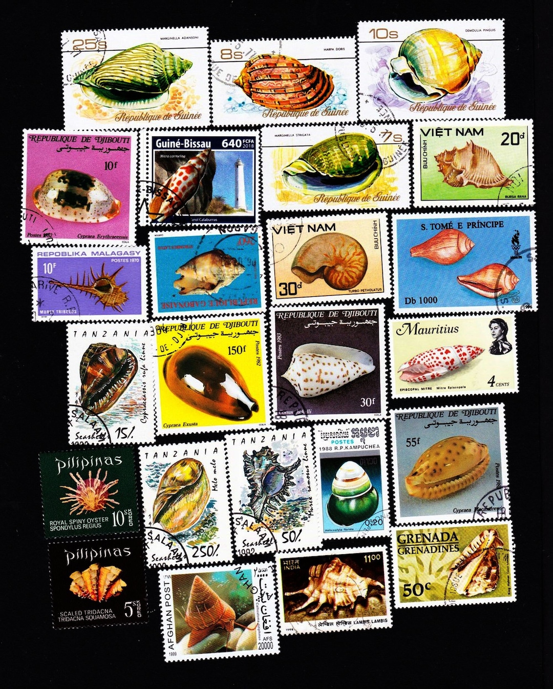 24 SEA SHELLS Vintage Cancelled World Postage Stamps Collector - Etsy