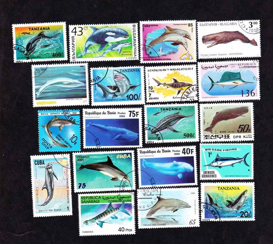 19 WHALES SHARKS PORPOISES Dolphins Sail Fish Vintage Used World ...