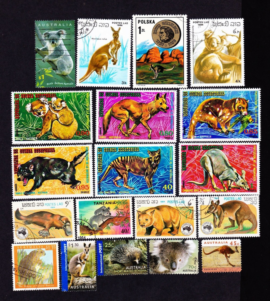 19 ANIMALS of AUSTRALIA TASMANIA Kangaroos Koalas Platypus Vintage Used ...