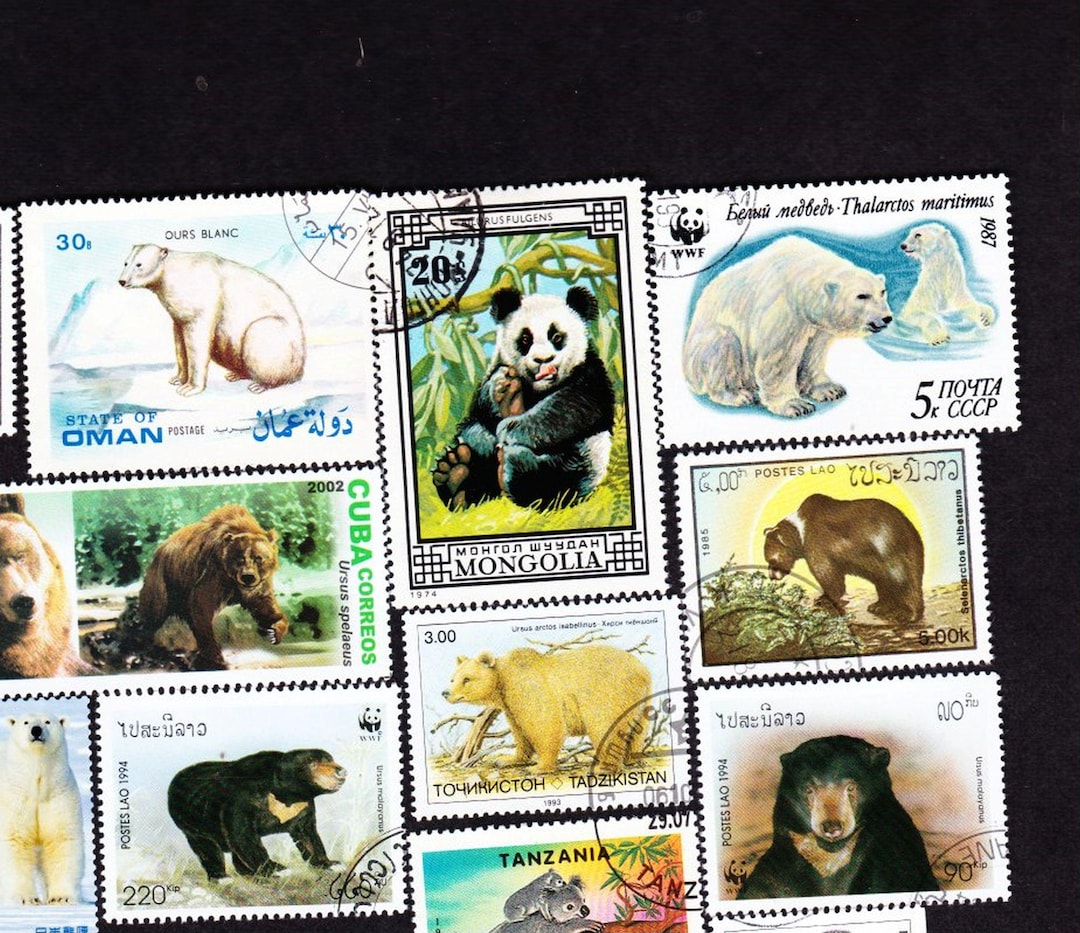 15 BEARS Bear Cubs Pandas Black Bears Polar Bears Grizzly World Vintage ...