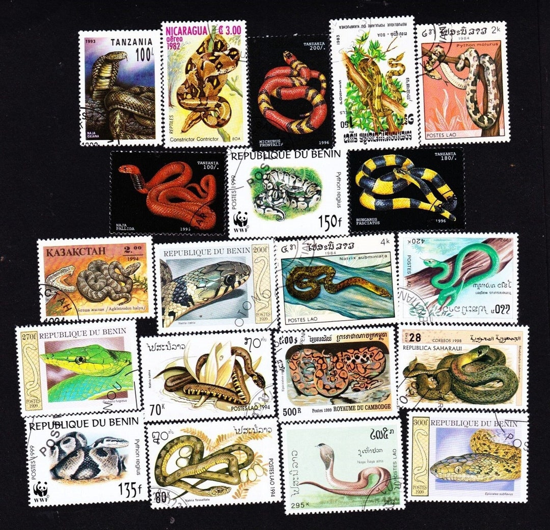 20 World SNAKES VIPERS SERPENTS Reptiles Herpetology Vintage Used World ...