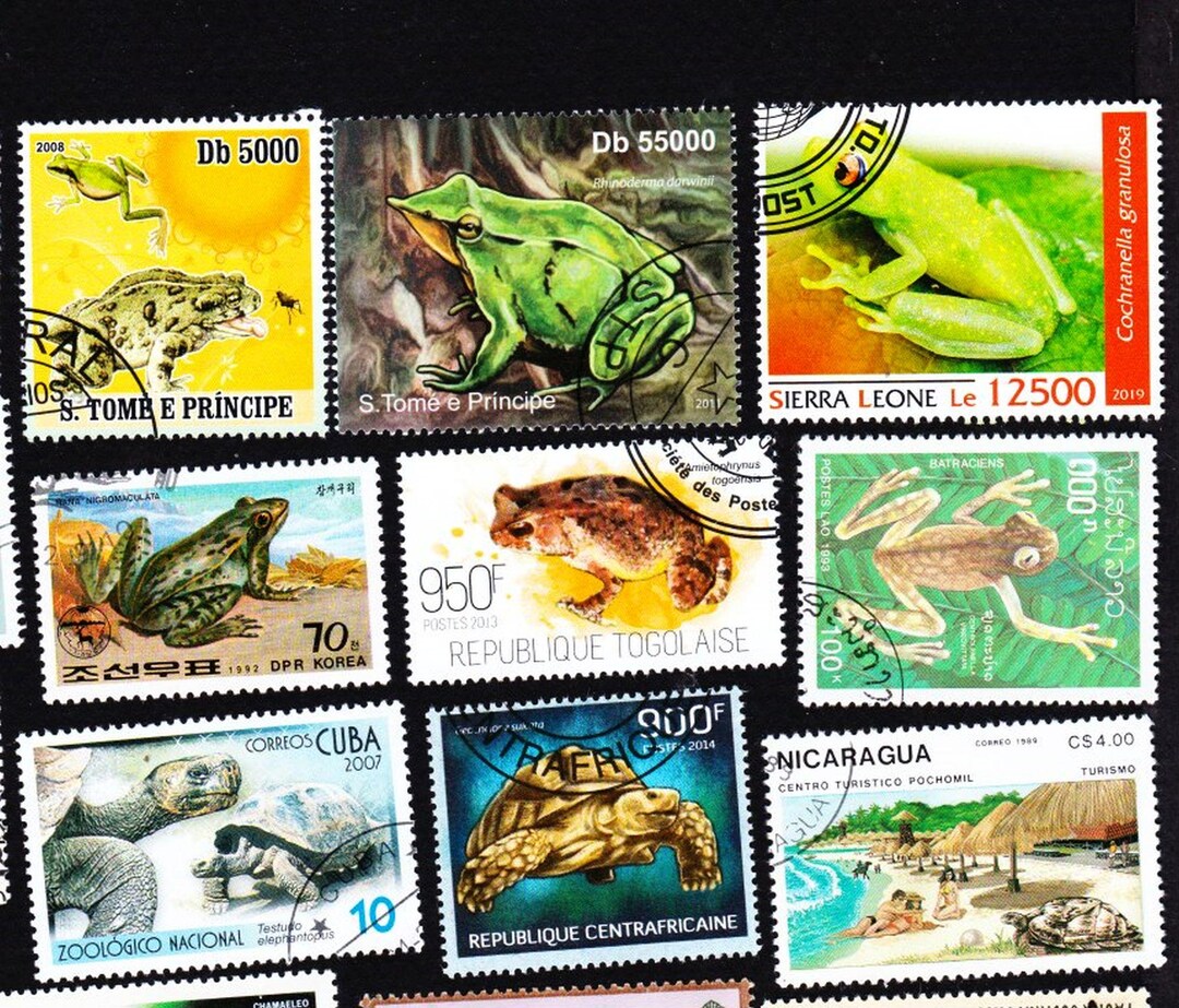 20 FROGS TURTLES and LIZARDS Vintage Cancelled Postage Stamps Collector ...