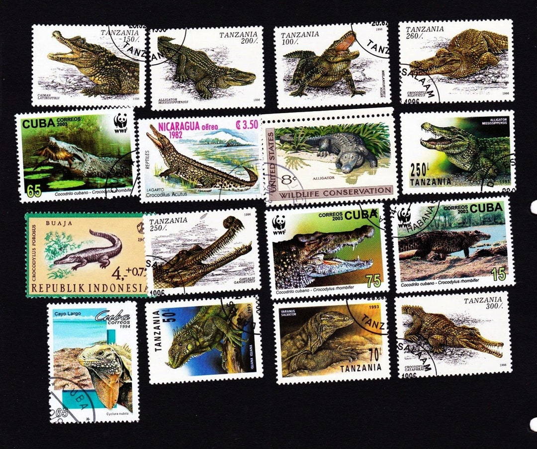 16 World ALLIGATORS CROCODILES IGUANAS Reptiles Vintage Used World ...