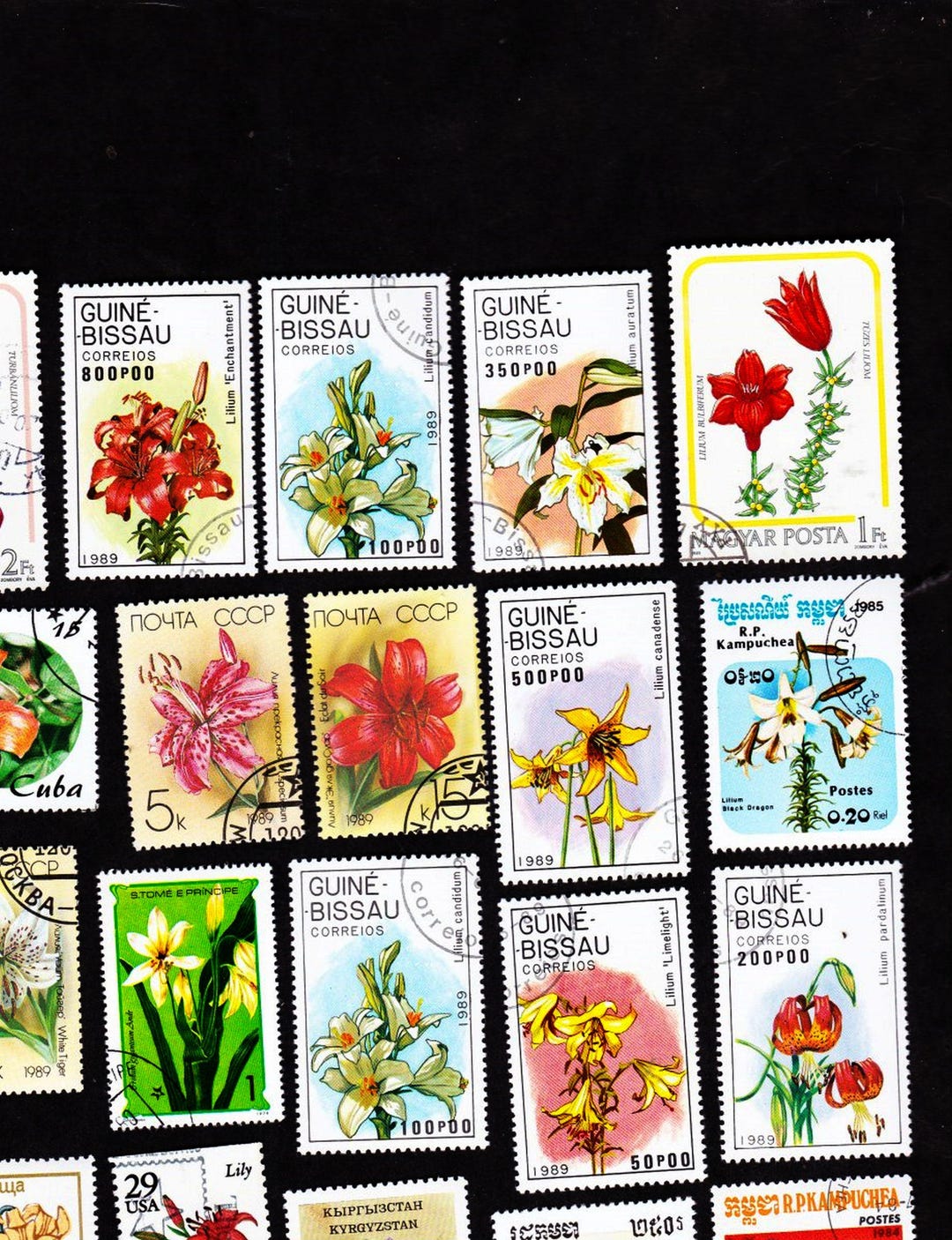 20 LILIES Vintage Cancelled World Postage Stamps Collector Set Stamp ...