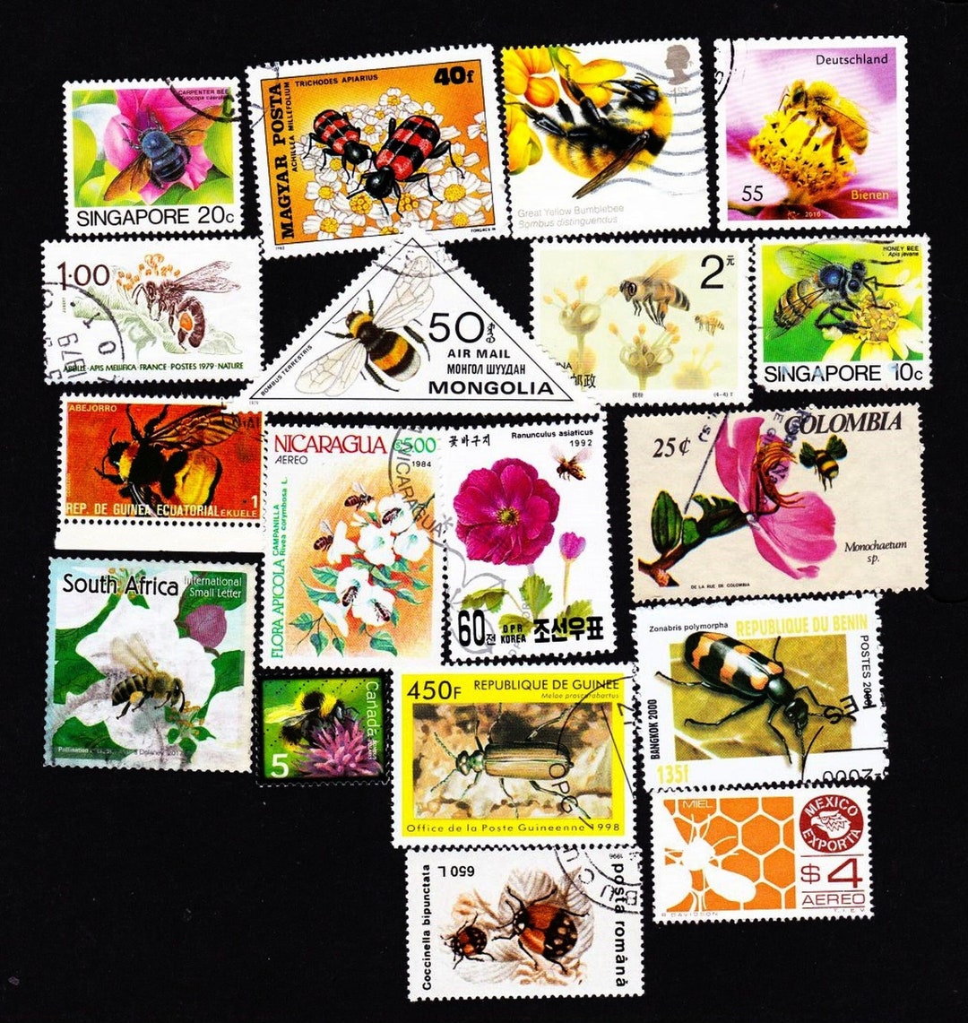 15 HONEY BEES Pollinator Bees Beneficial Garden Insects Vintage World ...