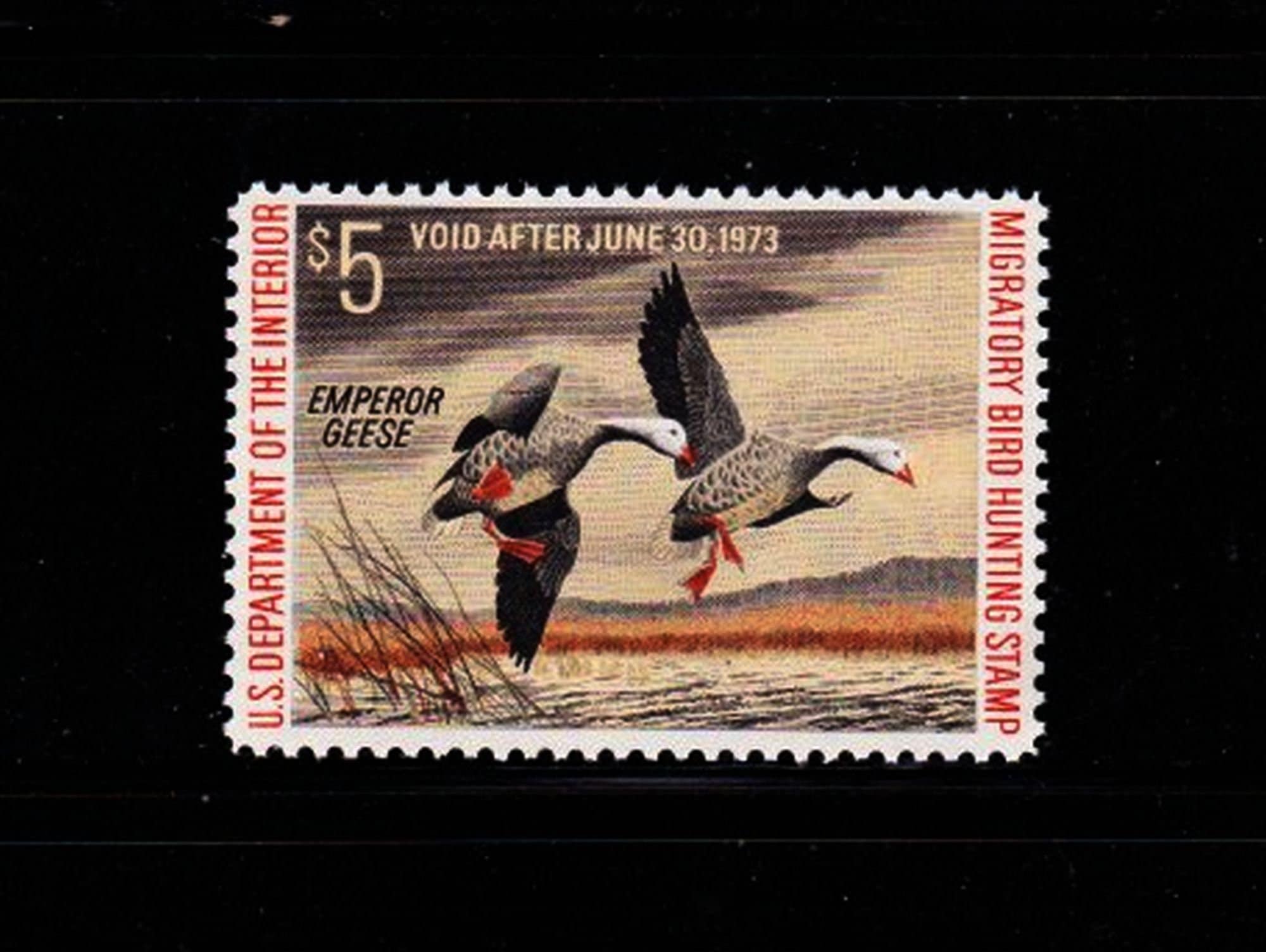 1972-1973 Migratory Waterfowl Stamp: Emperor Geese (unused) - Etsy
