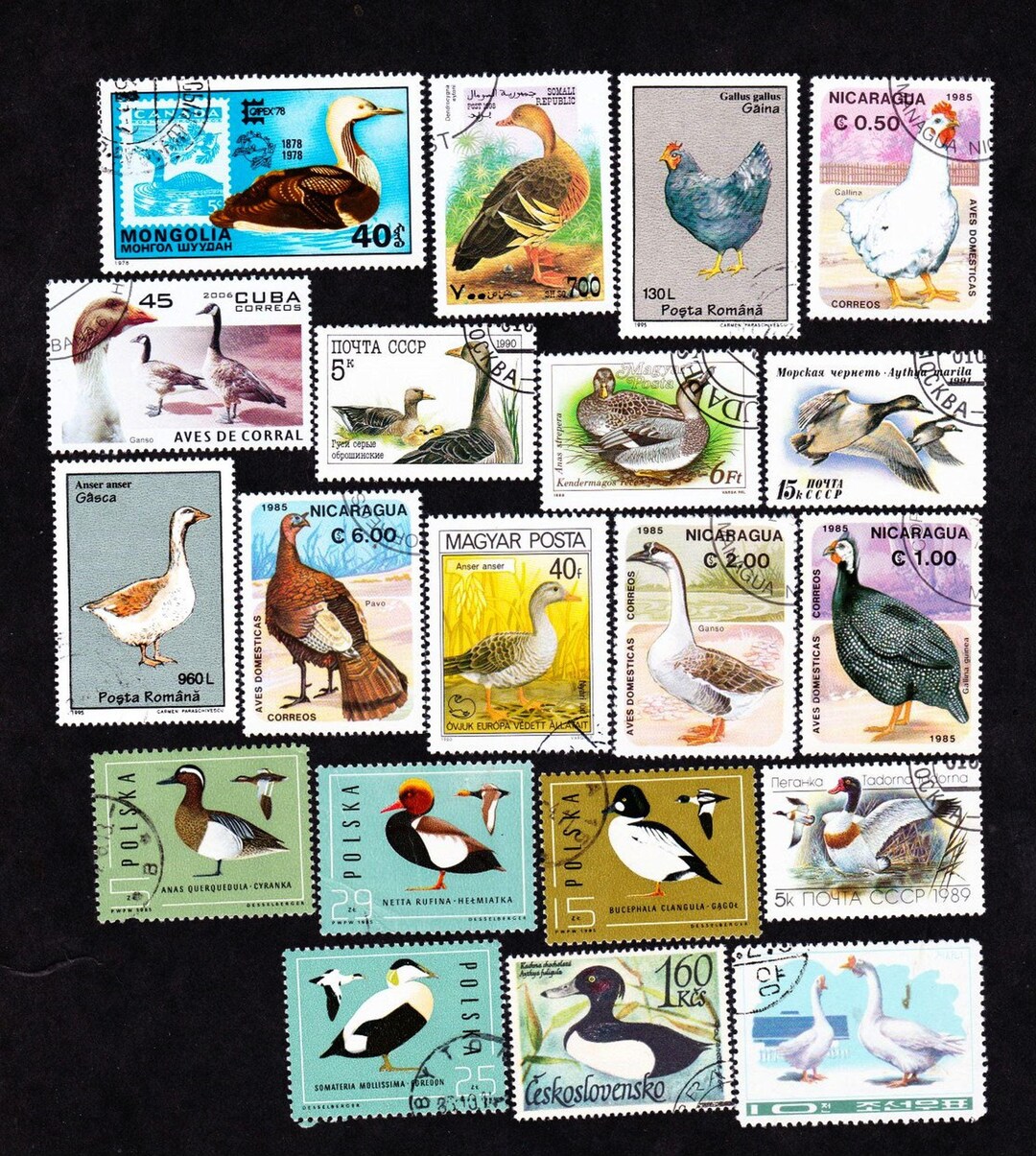 20 CHICKENS DUCKS GEESE Turkeys Poultry Vintage Cancelled World Postage ...