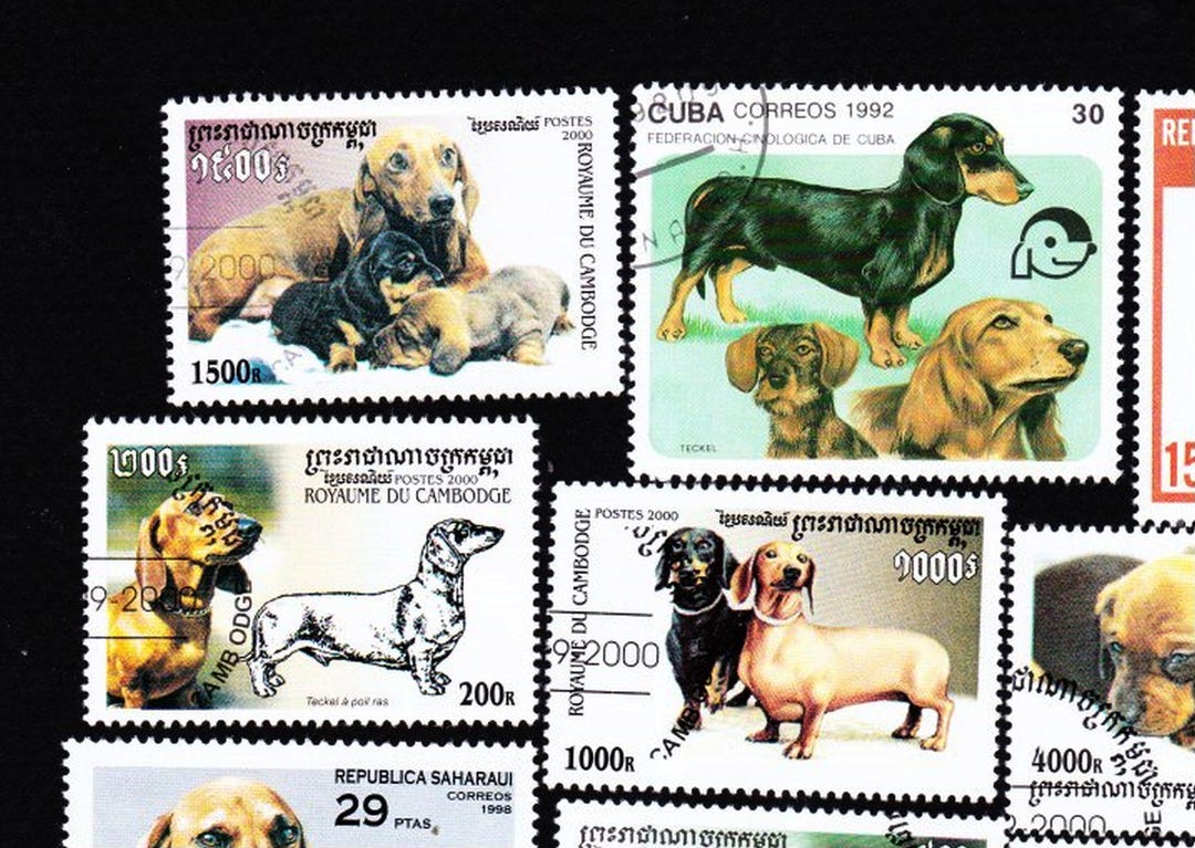 11 DACHSHUNDS DOGS and PUPPIES Vintage Cancelled Postage Stamps ...