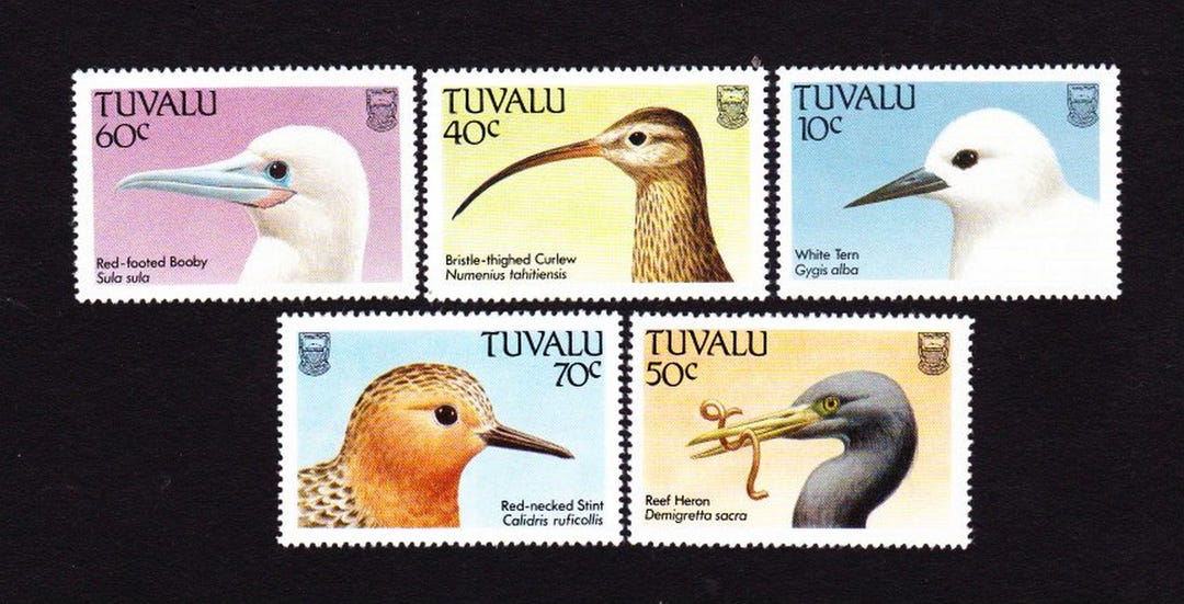 5 TUVALU Islands BIRDS Scarce Vintage Postage Stamps Popular Collector ...