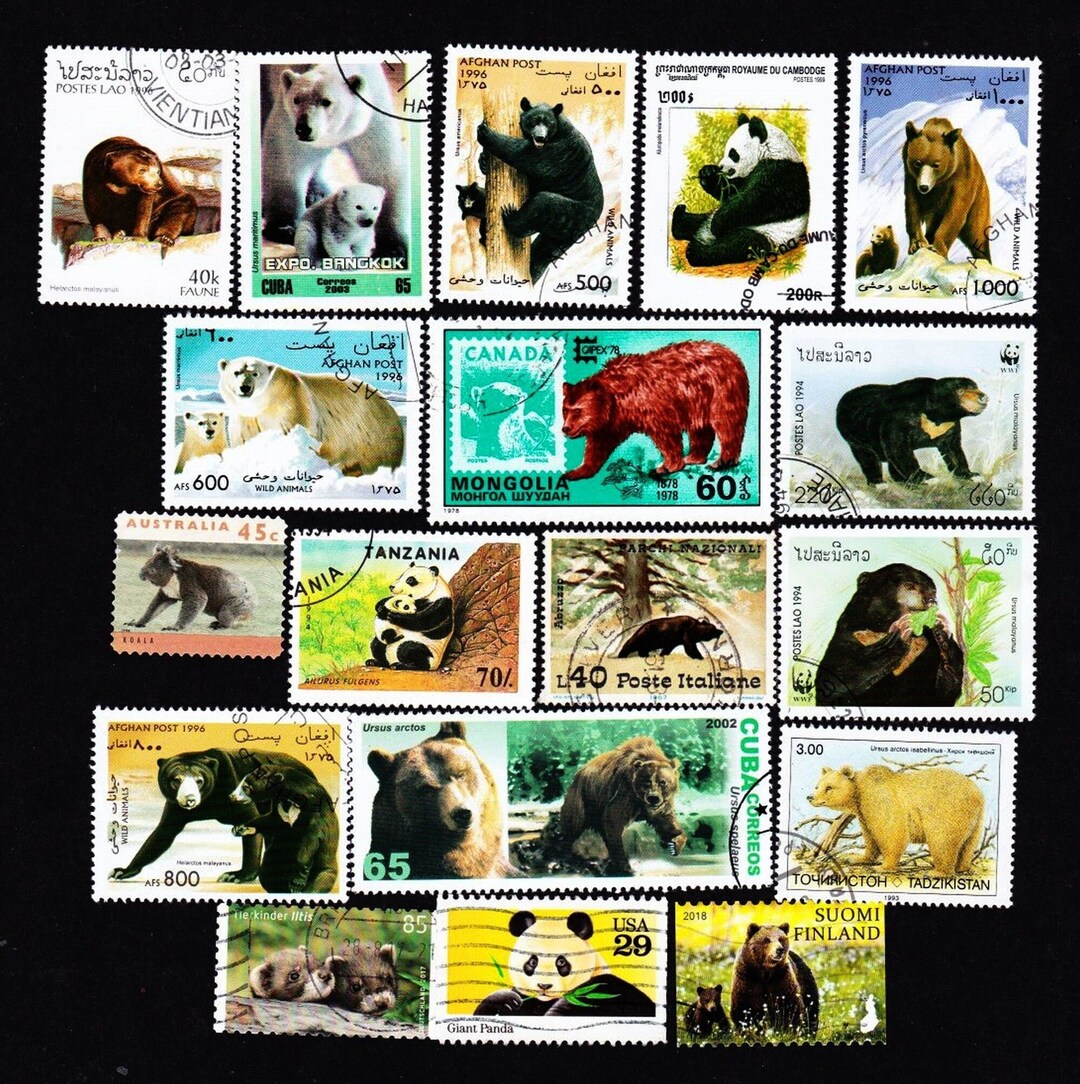 18 BEARS POLAR Bears Pandas Black Bears Grizzly Bears World Vintage ...