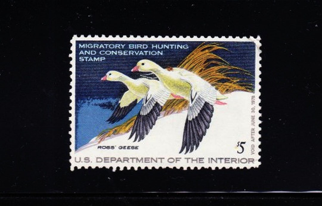 SCARCE U S 1974-1975 Federal MIGRATORY WATERFOWL (duck) Stamp Unused ...