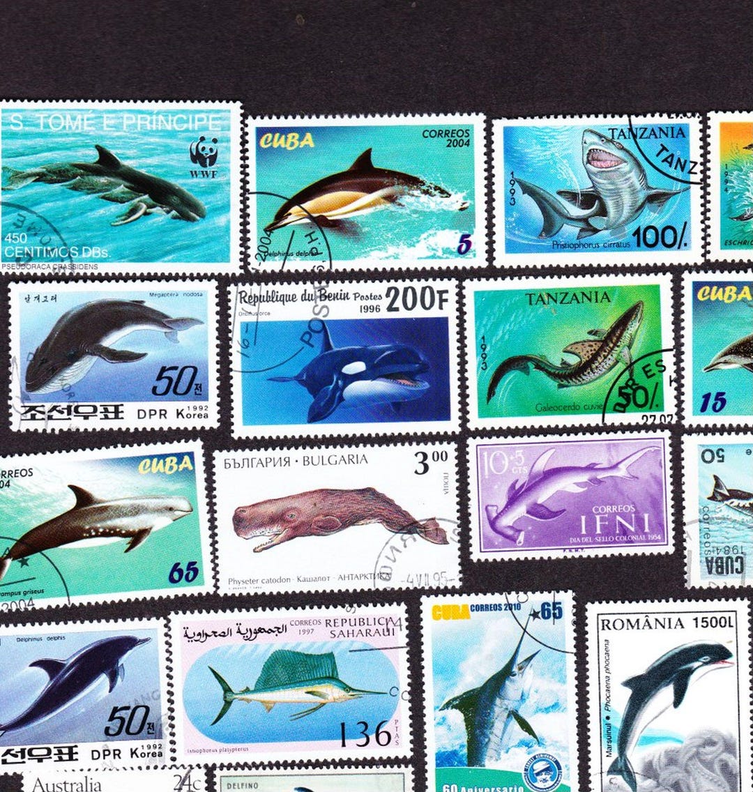 20 WHALES SHARKS PORPOISES Dolphins Sail Fish Vintage Used World ...