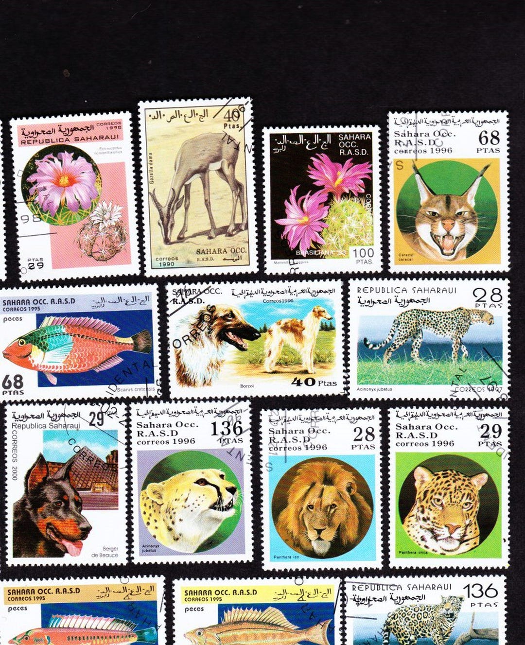 20 SAHARA and SAHARAUI Exotic Western Sahara Middle East Cancelled ...