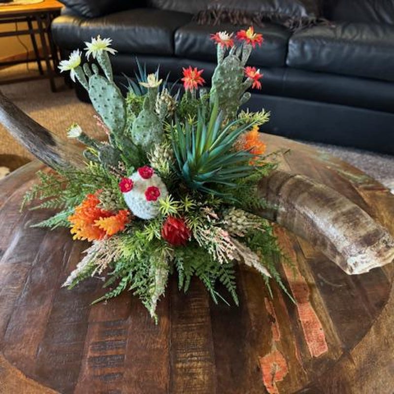 Cactus Arrangement - Etsy