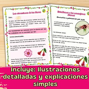 Polinización Para Niños. Relación Entre El Tipo De Polinizador Y Las ...