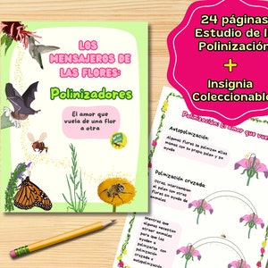 Polinización Para Niños. Relación Entre El Tipo De Polinizador Y Las ...