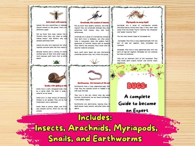 Backyard Summer Bugs Unit Study. Insect, Scorpion, Spider, Snail ...