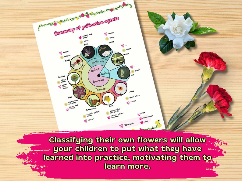 Pollination Study Unit: Printable Pollinators and Flower Anatomy for ...