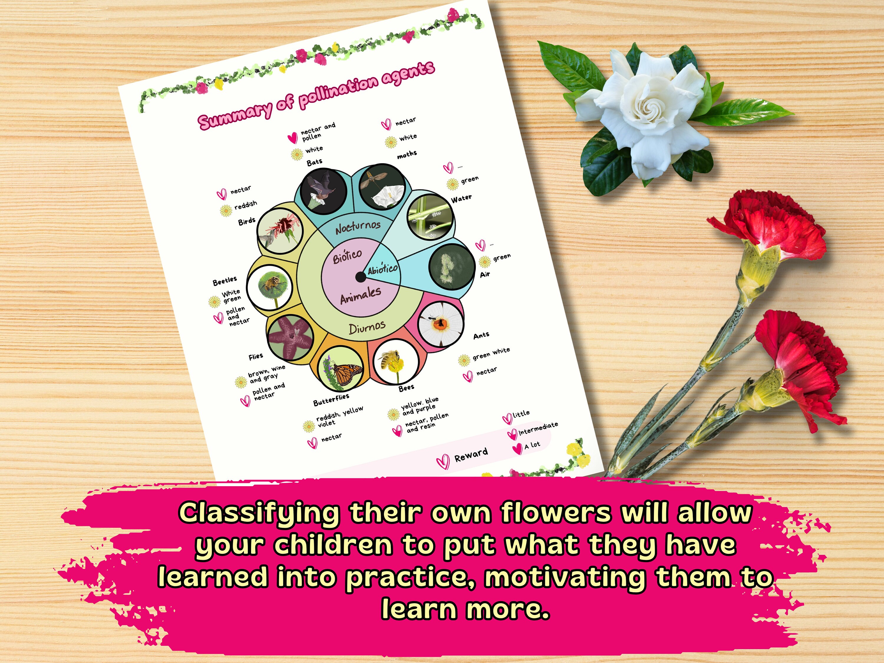 Pollination Study Unit: Printable Pollinators and Flower Anatomy for ...