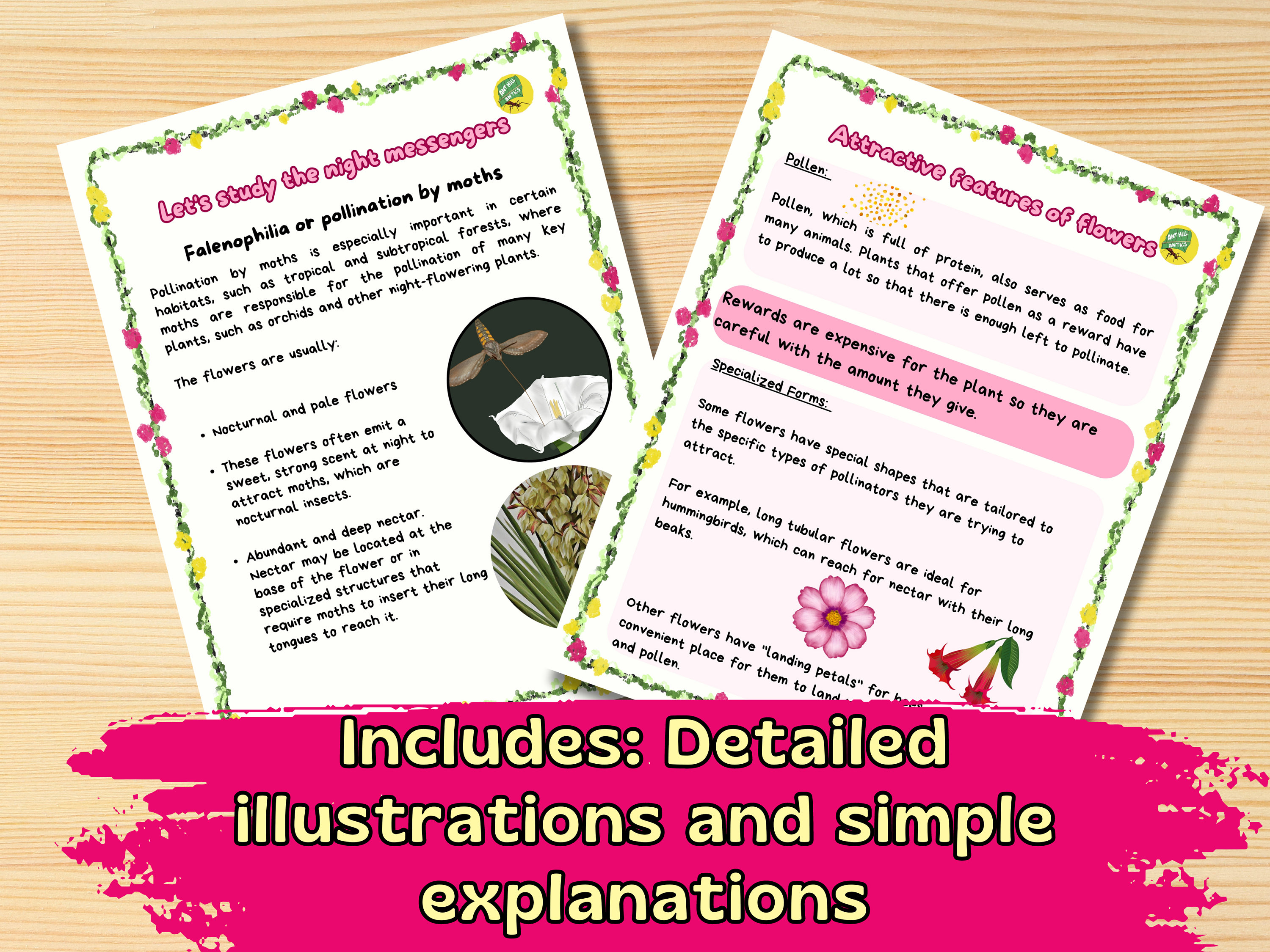 Pollination Study Unit: Printable Pollinators and Flower Anatomy for ...