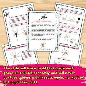 Backyard Summer Bugs Unit Study. Insect, Scorpion, Spider, Snail ...