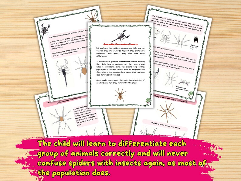 Backyard Summer Bugs Unit Study. Insect, Scorpion, Spider, Snail ...