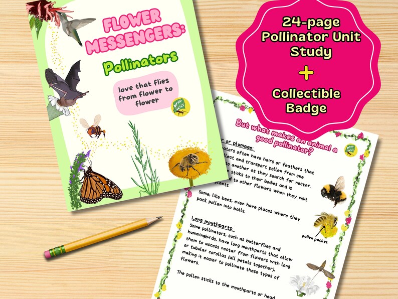 Pollination Study Unit: Printable Pollinators and Flower Anatomy for ...