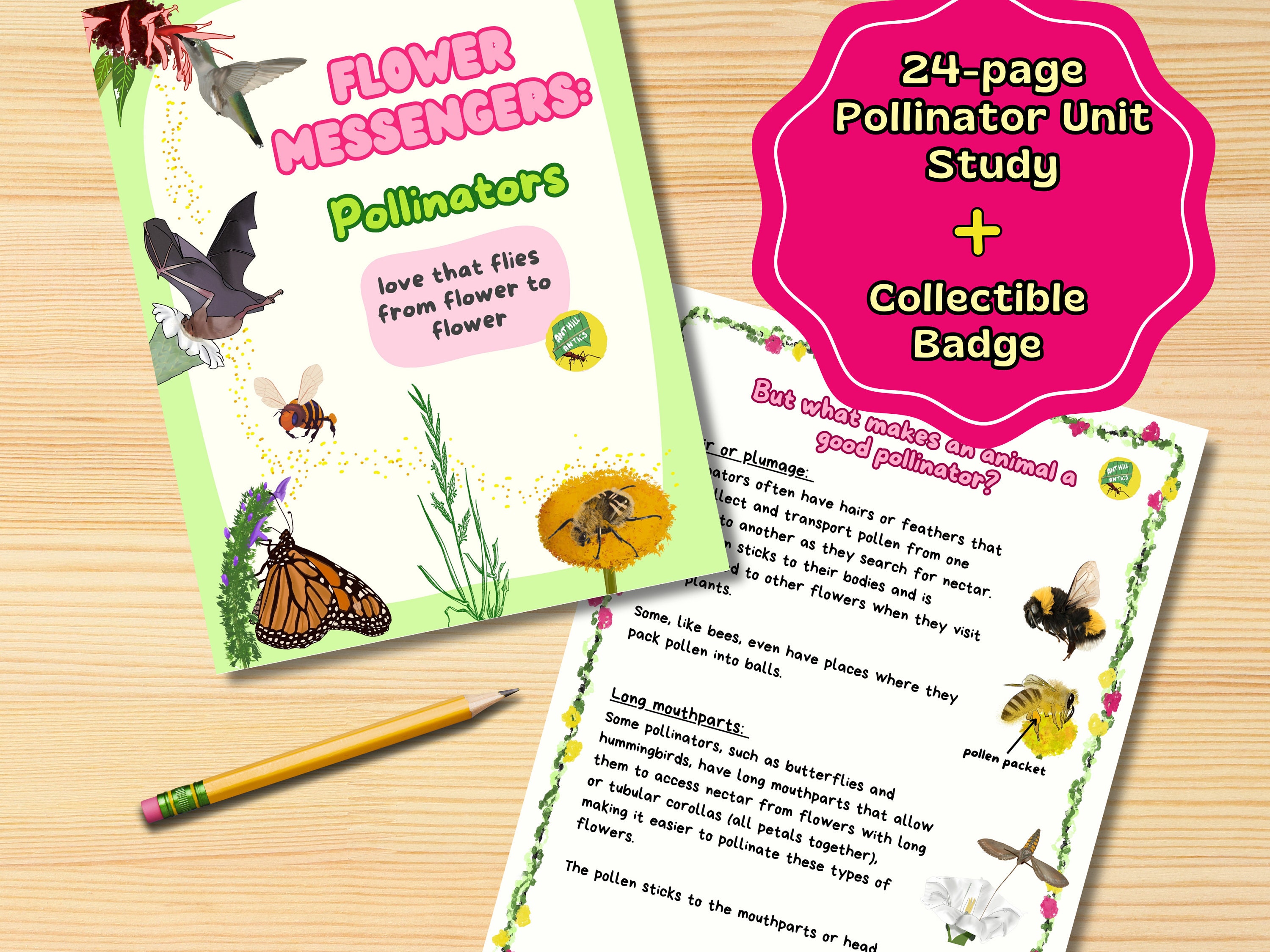 Pollination Study Unit: Printable Pollinators and Flower Anatomy for ...