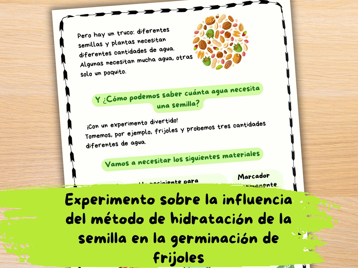 Experimento De Germinación De Semillas, Actividad Práctica Para Niños ...