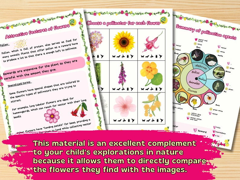 Pollination Study Unit: Printable Pollinators and Flower Anatomy for ...