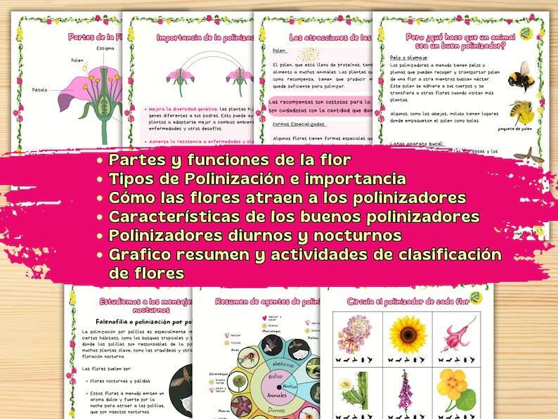 Polinización Para Niños. Relación Entre El Tipo De Polinizador Y Las ...