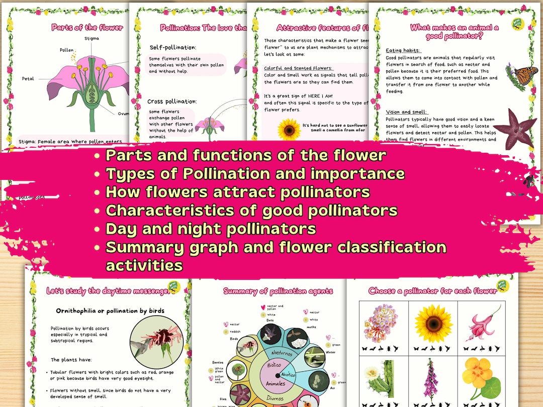 Pollination Study Unit: Printable Pollinators and Flower Anatomy for ...