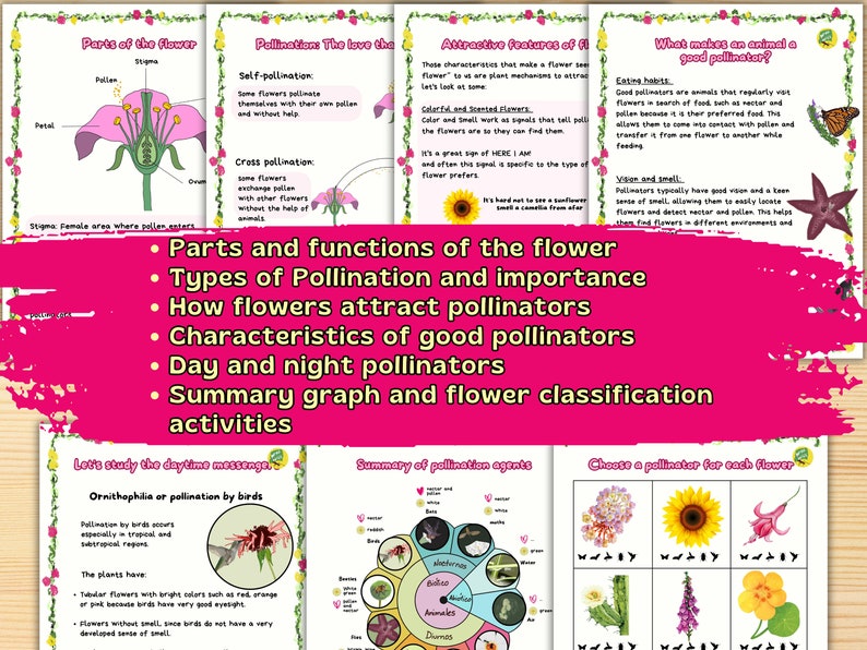 Pollination Study Unit: Printable Pollinators and Flower Anatomy for ...