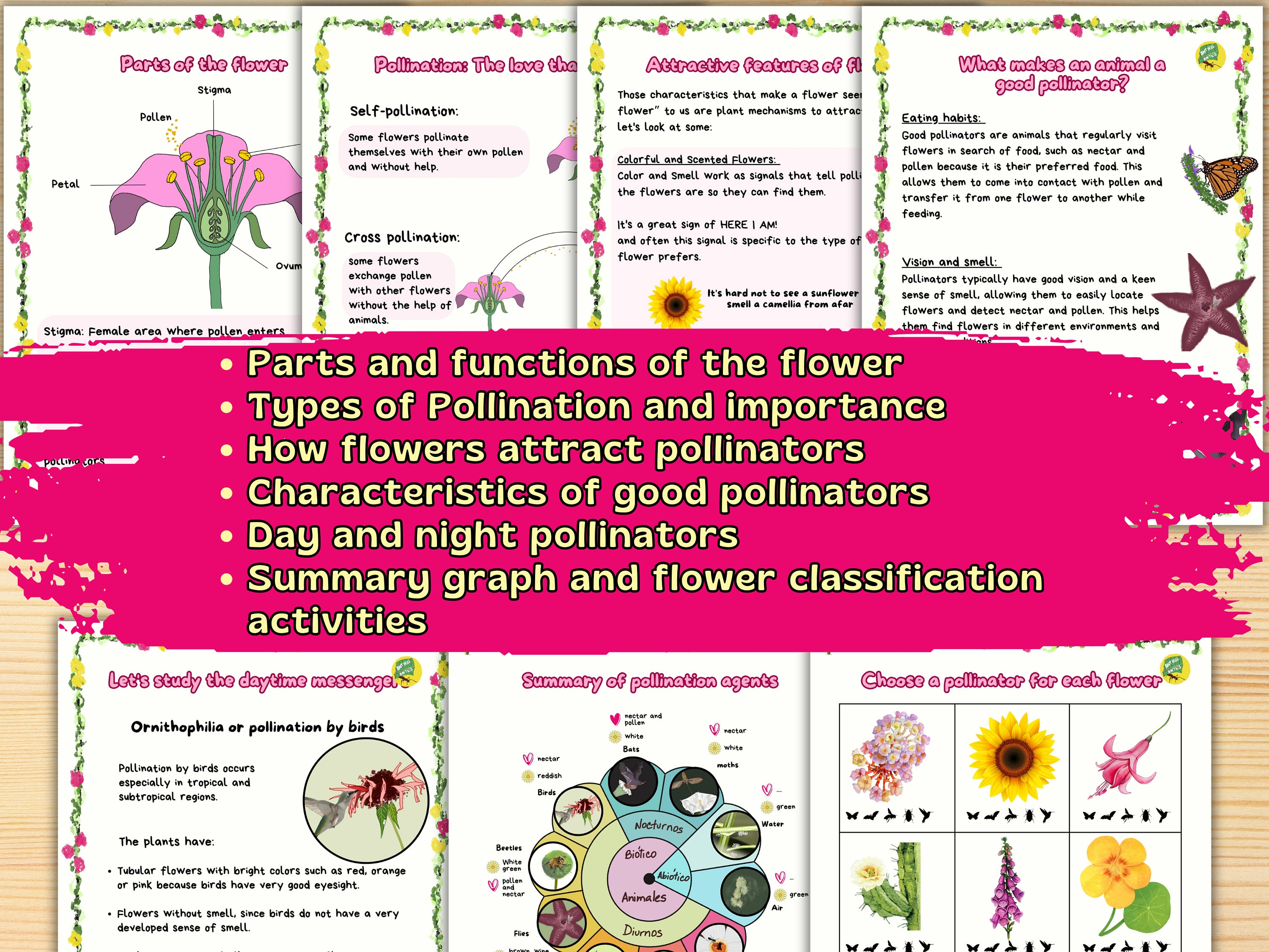 Pollination Study Unit: Printable Pollinators and Flower Anatomy for ...
