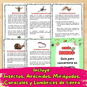Estudio De Bichos. Cómo Identificar Insectos, Arácnidos, Caracoles Y ...