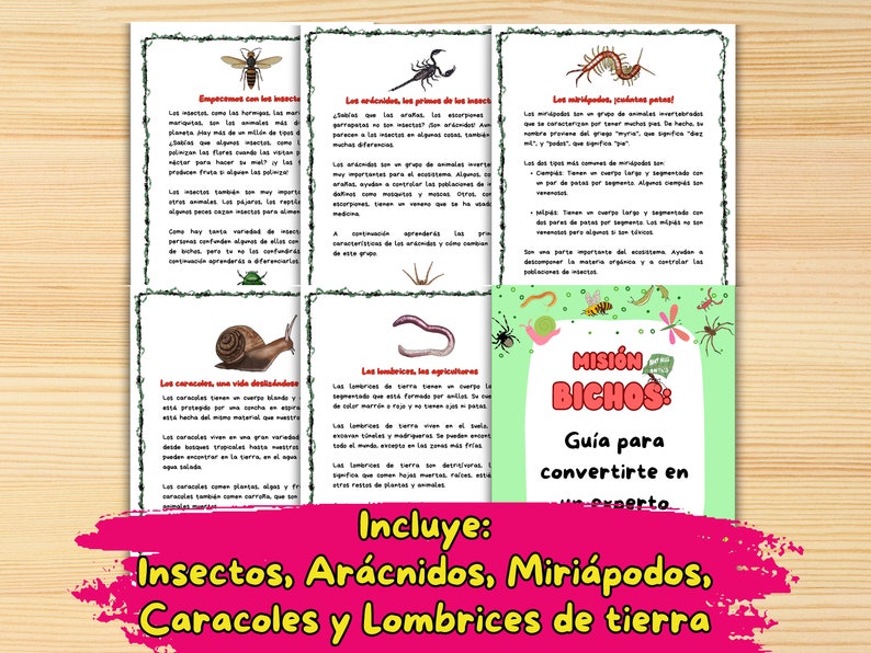 Estudio De Bichos. Cómo Identificar Insectos, Arácnidos, Caracoles Y ...