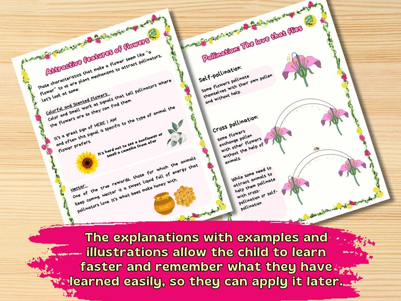 Pollination Study Unit: Printable Pollinators and Flower Anatomy for ...