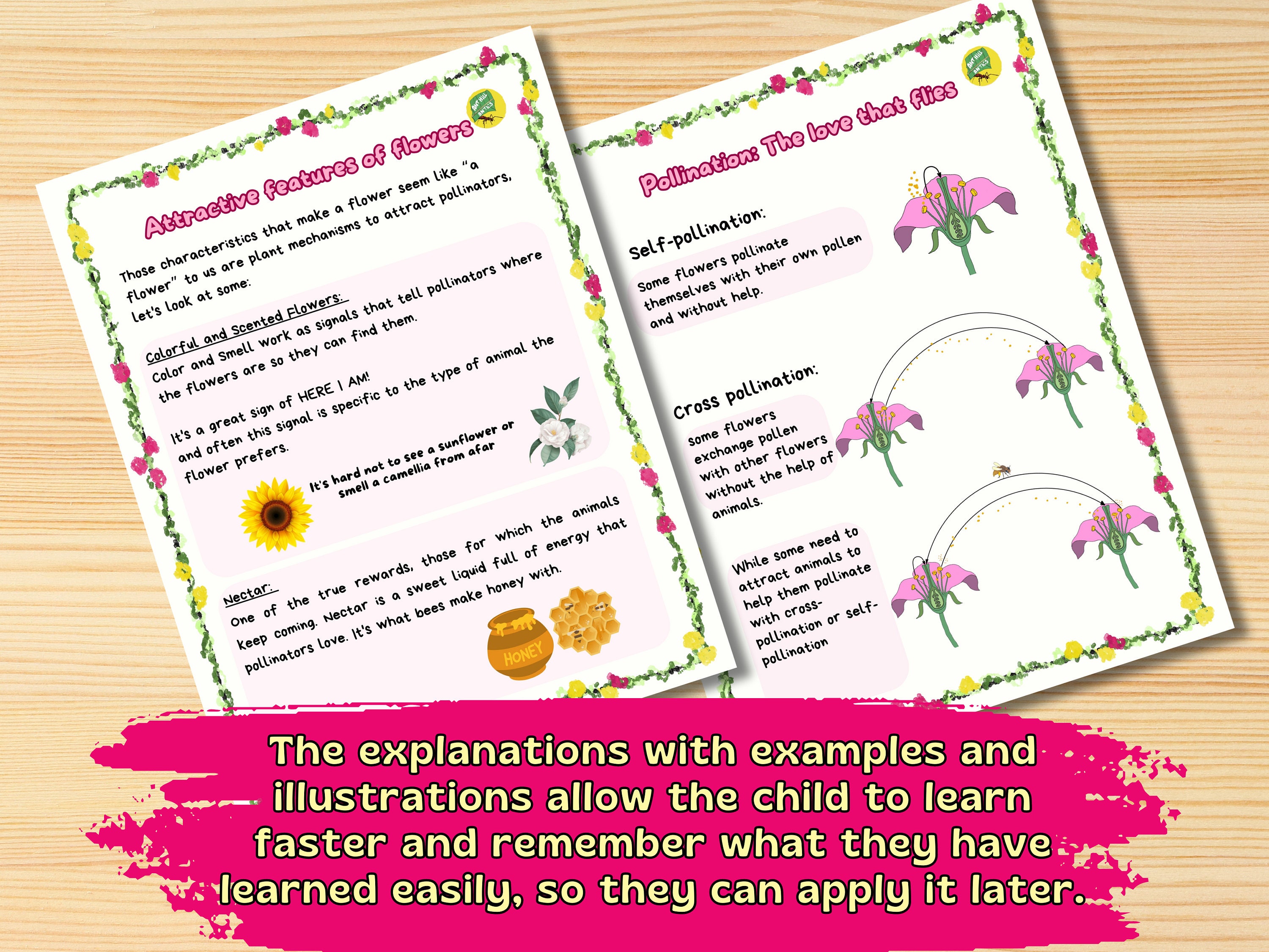 Pollination Study Unit: Printable Pollinators and Flower Anatomy for ...