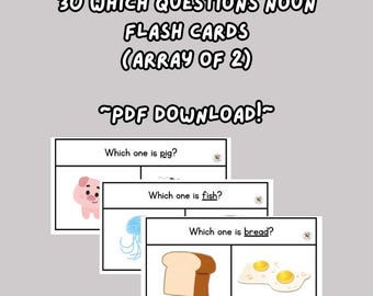 Which One? Noun Flash Cards PDF Download for Slp/ot/aba Therapy/early ...