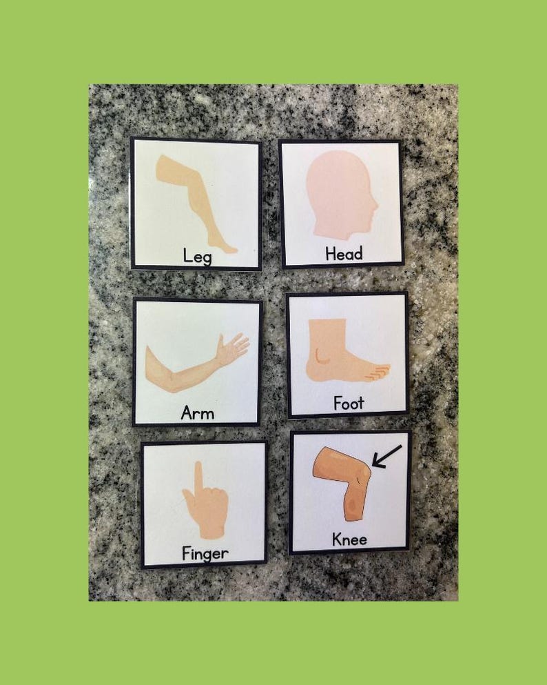 30 Body Part Pecs Flashcards for Early and Special Education/slp/ot/aba ...