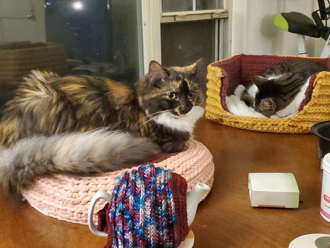 Poof for a Floof Crochet Cat Bed (made to Order) - Etsy