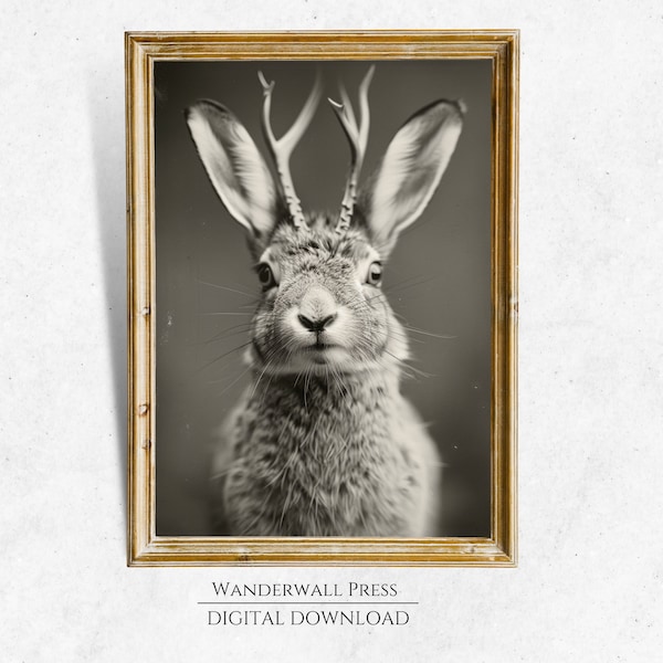 Jackalope Print - Etsy