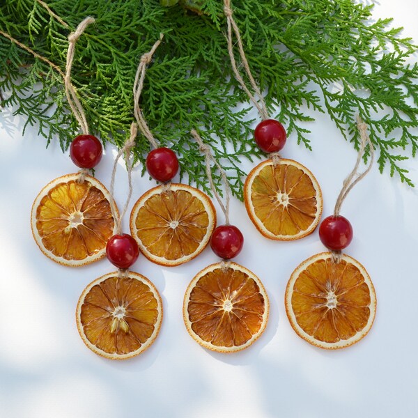Dried Citrus for Decor - Etsy